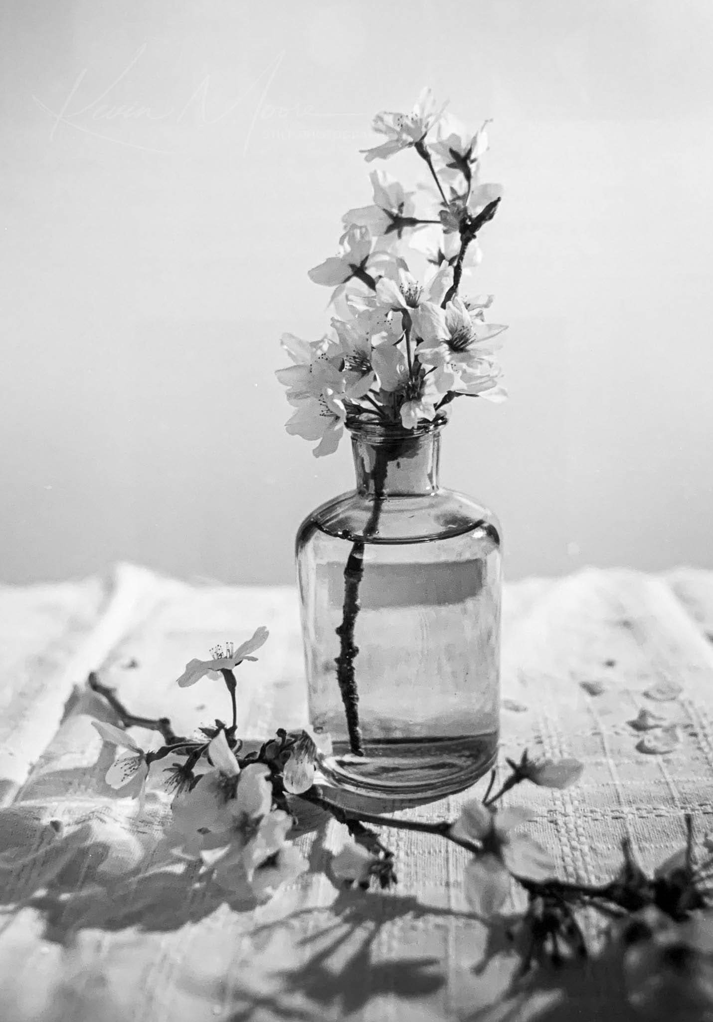 Still Life Photography Techniques | Captivating Arrangements